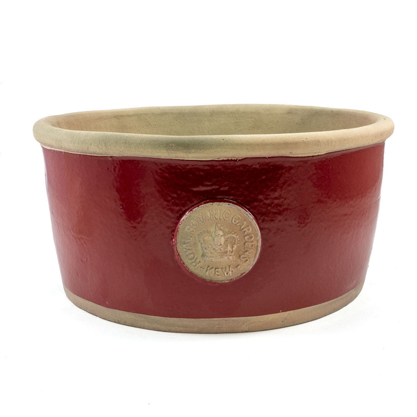 Botanical Collections Kent Berry Red Large Oval Planter – Charles Mayer